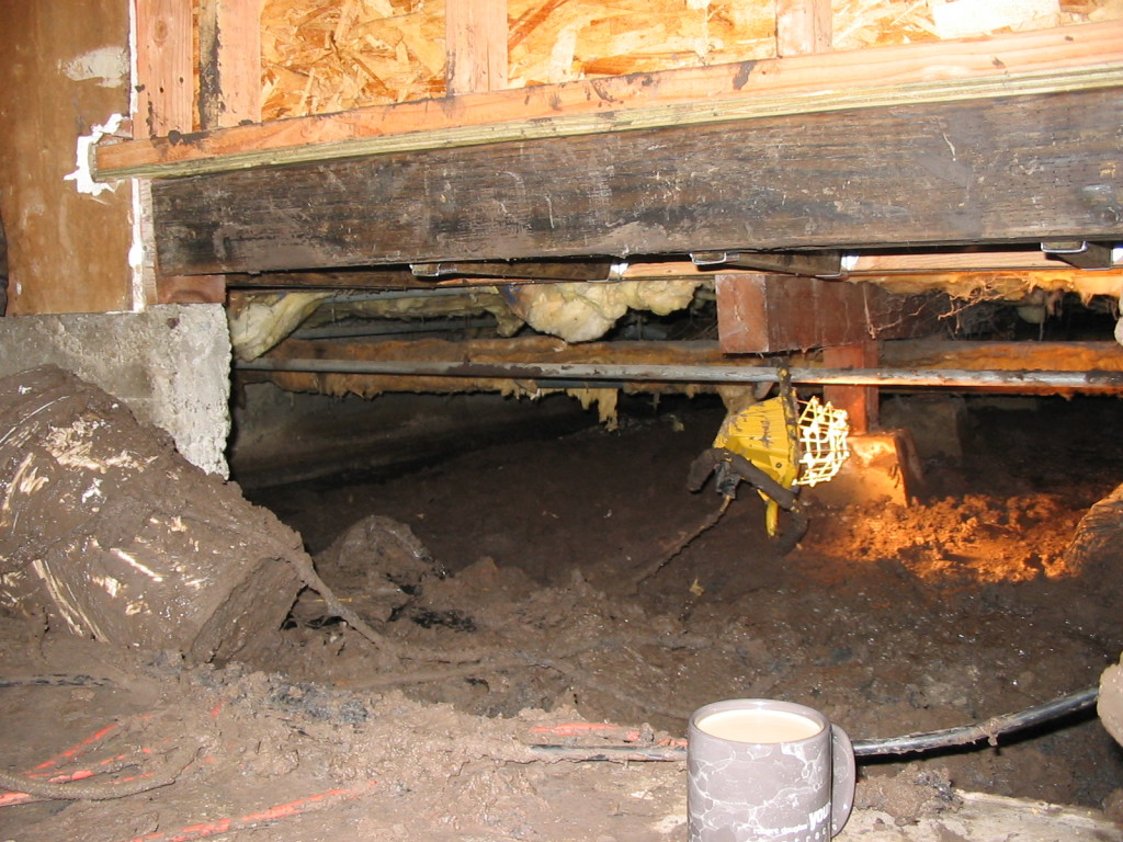 Crawl space - know what's in it and how to maintain it - part 1